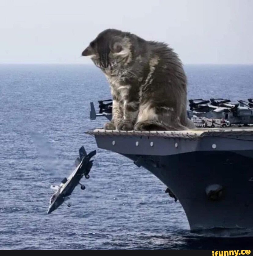 Usmc memes. Best Collection of funny Usmc pictures on iFunny