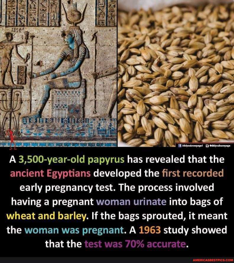 Ancient Egyptians Deve Early Pregnancy Test 3 500 Year Old Papyrus Has