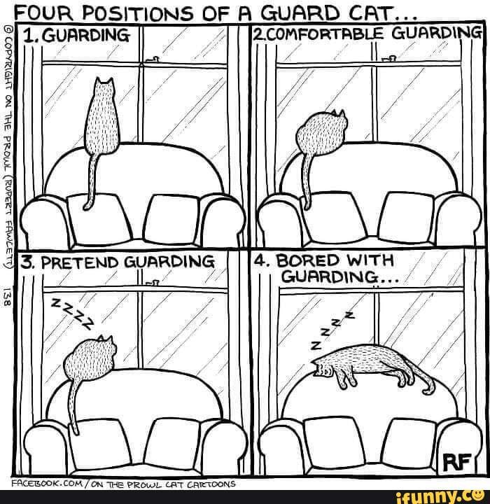 FOUR POSITIONS OF A GUARD CAT... COMFORTABLE 1. GUARDING PRETEND ...