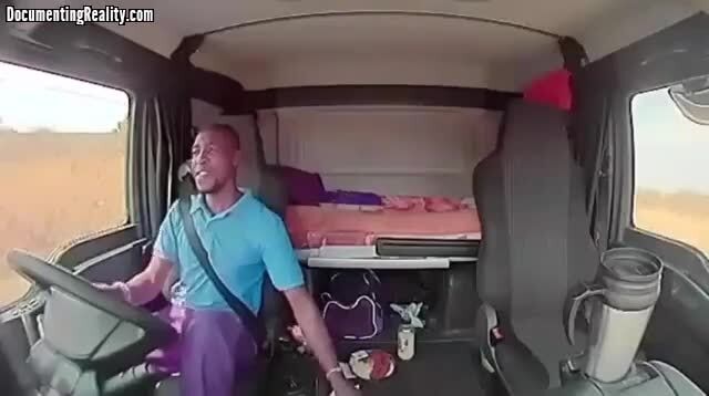 DocumentingReality com - )