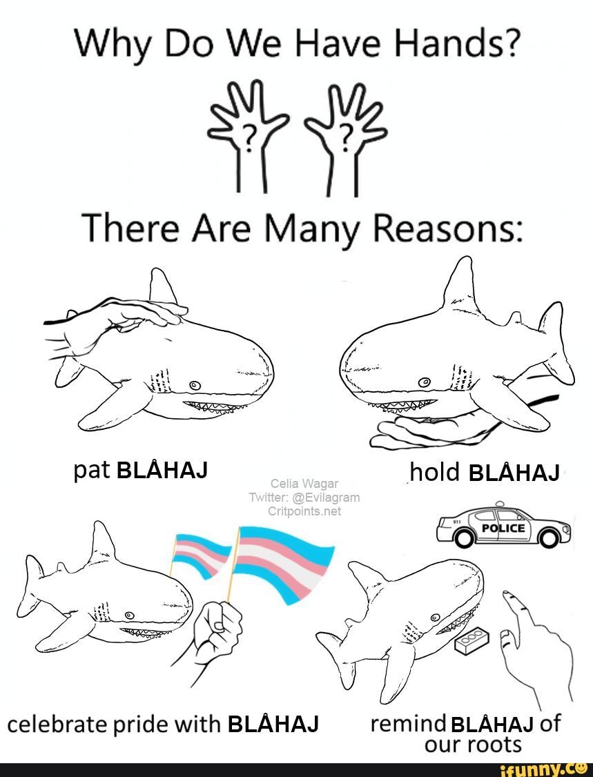 Meme dump 77: regular hedgehog - Why Do We Have Hands? There Are Many ...