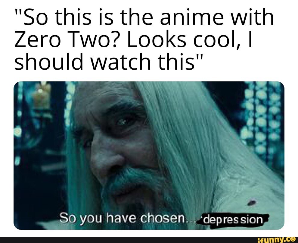 "So this is the anime with Zero Two? Looks cool, I should watch this ...