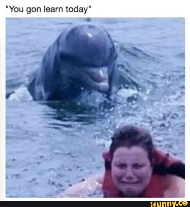 You Gonna Learn Today Meme