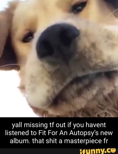 Autopsys memes. Best Collection of funny Autopsys pictures on iFunny