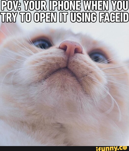 Faceid memes. Best Collection of funny Faceid pictures on iFunny