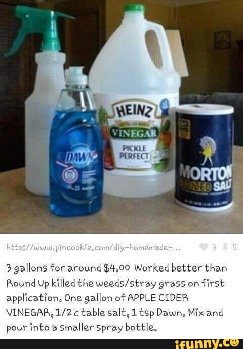 Tsp memes. Best Collection of funny Tsp pictures on iFunny