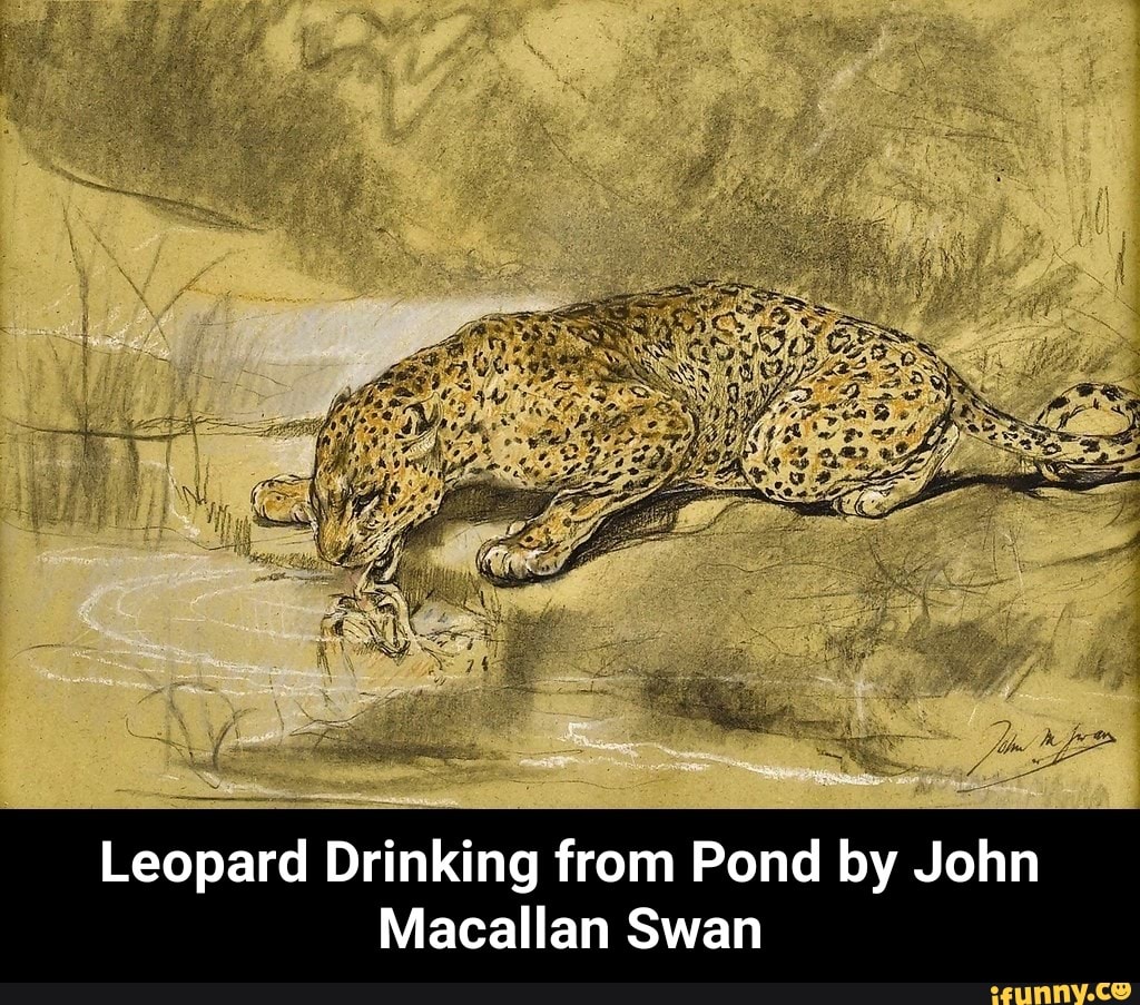 Macallan memes. Best Collection of funny Macallan pictures on iFunny