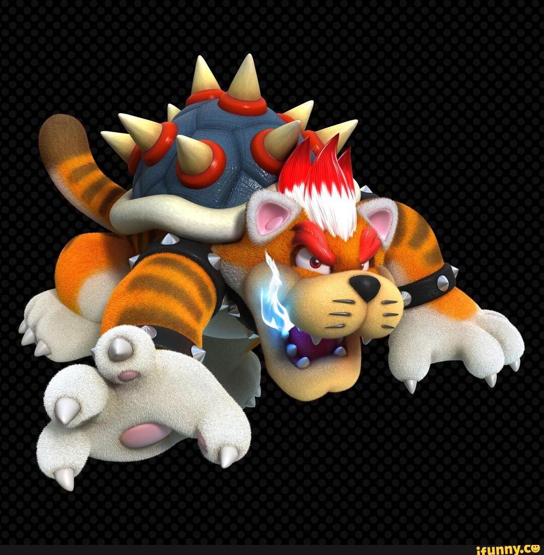 Meowser memes. Best Collection of funny Meowser pictures on iFunny