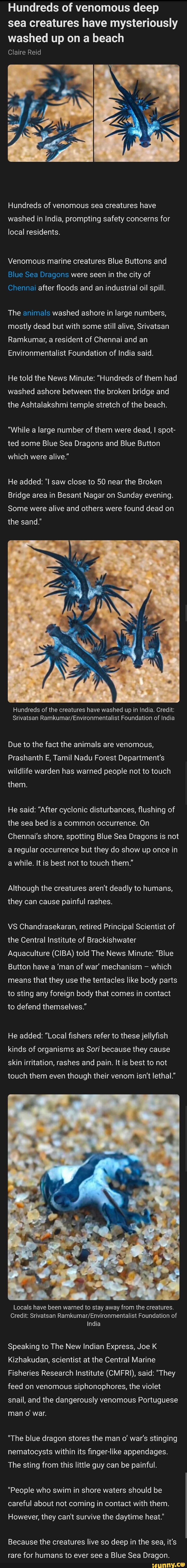 Prompting memes. Best Collection of funny Prompting pictures on iFunny