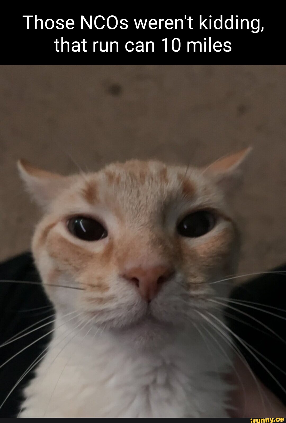 Ncos memes. Best Collection of funny Ncos pictures on iFunny