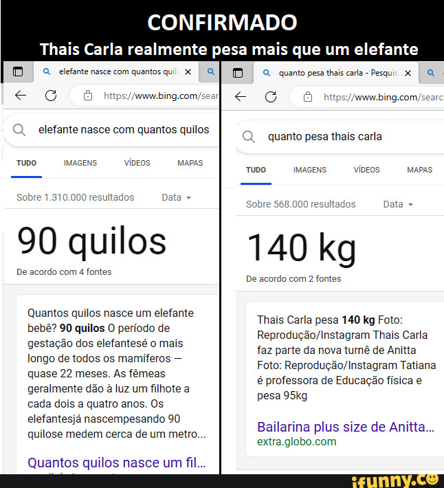 CONFIRMADO Thais Carla realmente pesa mais que um elefante I elefante ...