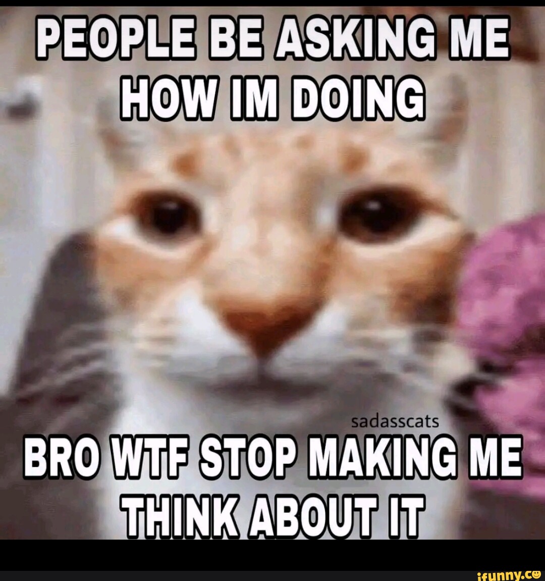 HOW IM DOING BRO WTF STOP MAKING ME THINK ABOUT IT - iFunny