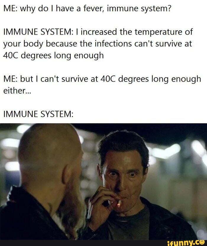 Sheeet - ME: why do I have a fever, immune system? IMMUNE SYSTEM: I ...