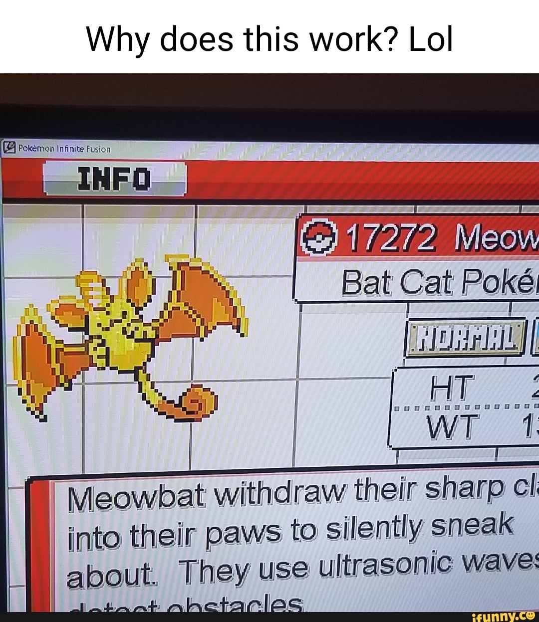 Why does this work? Lol Pokemon Infinite Fusion. Bat Cat Pok Meowbat ...