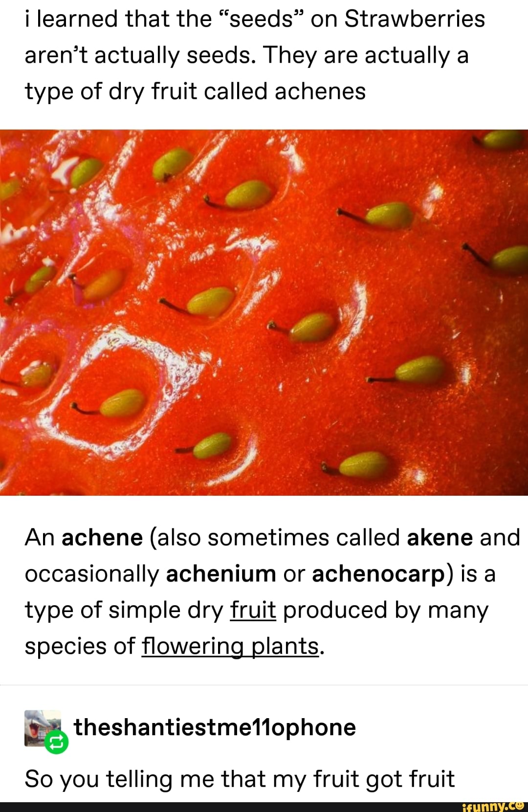 I learned that the “seeds” on Strawberries aren’t actually seeds. They ...