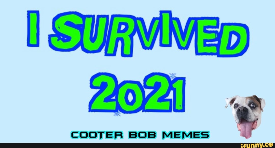 COOTER BOB MEMES - iFunny