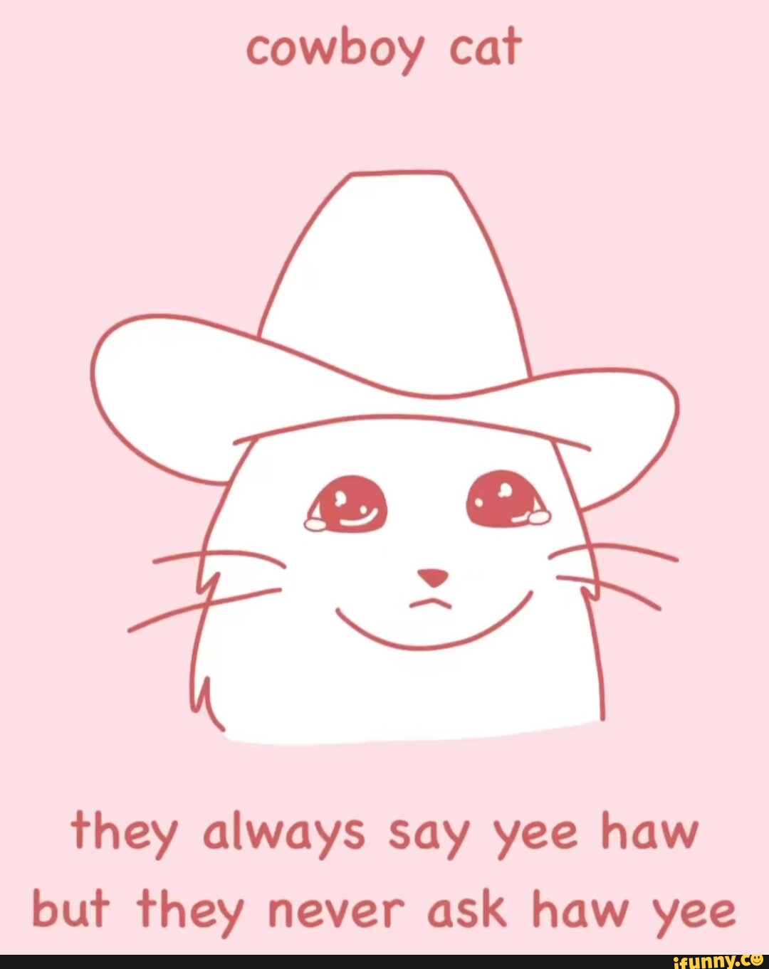 Cowboy cat they always say yee haw but they never ask haw yee - iFunny