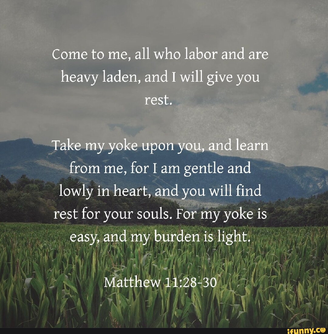 Rest From Your Labor