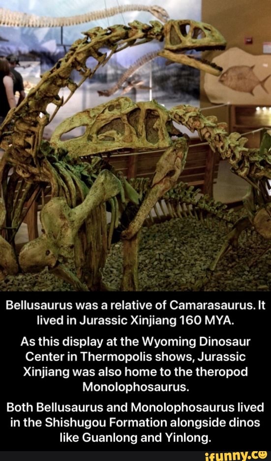 Monolophosaurus memes. Best Collection of funny Monolophosaurus ...