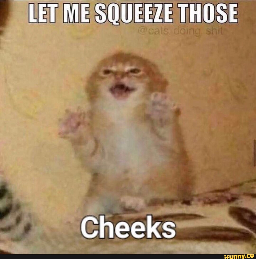 LET ME SQUEEZE THOSE Cheeks - iFunny
