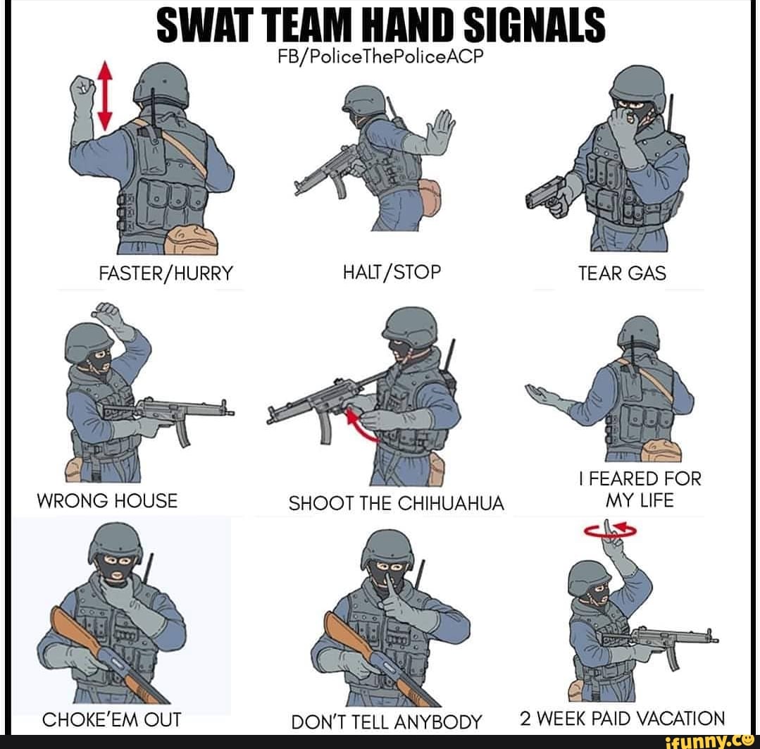 SWAT TEAM HAND SIGNALS ly I FEARED FOR SHOOT THE CHIHUAHUA MY LIFE - iFunny