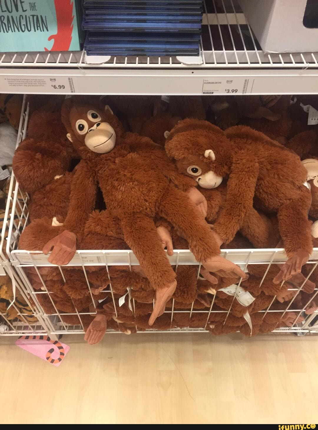 Monos memes. Best Collection of funny Monos pictures on iFunny