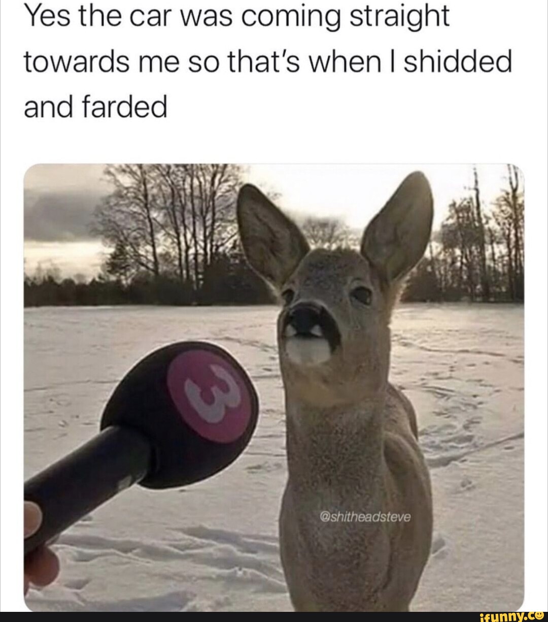 Yes the car was coming straight towards me so that's when I shidded and ...