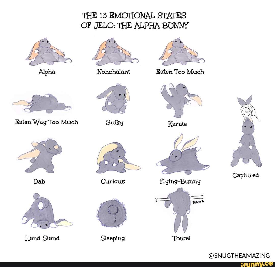 THE 13 EMOTIONAL STATES OF JELO: THE ALPHA BUNNY Alpha Nonchalant Eaten ...