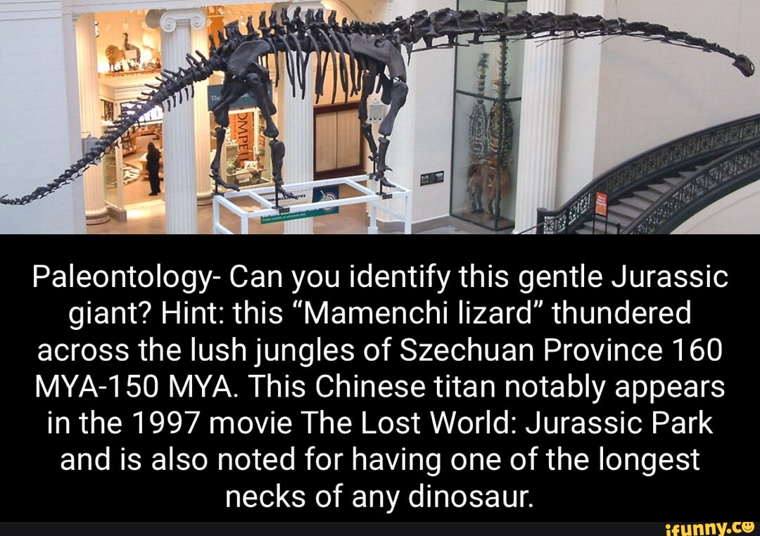 Paleontology- Can you identify this gentle Jurassic giant? Hint: this ...