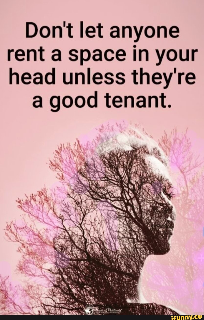 Tenant memes. Best Collection of funny Tenant pictures on iFunny