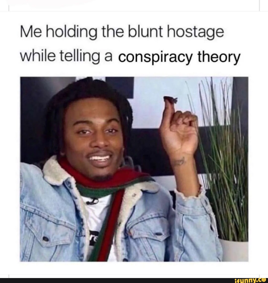 Me holding the blunt hostage while telling a conspiracy theory - iFunny