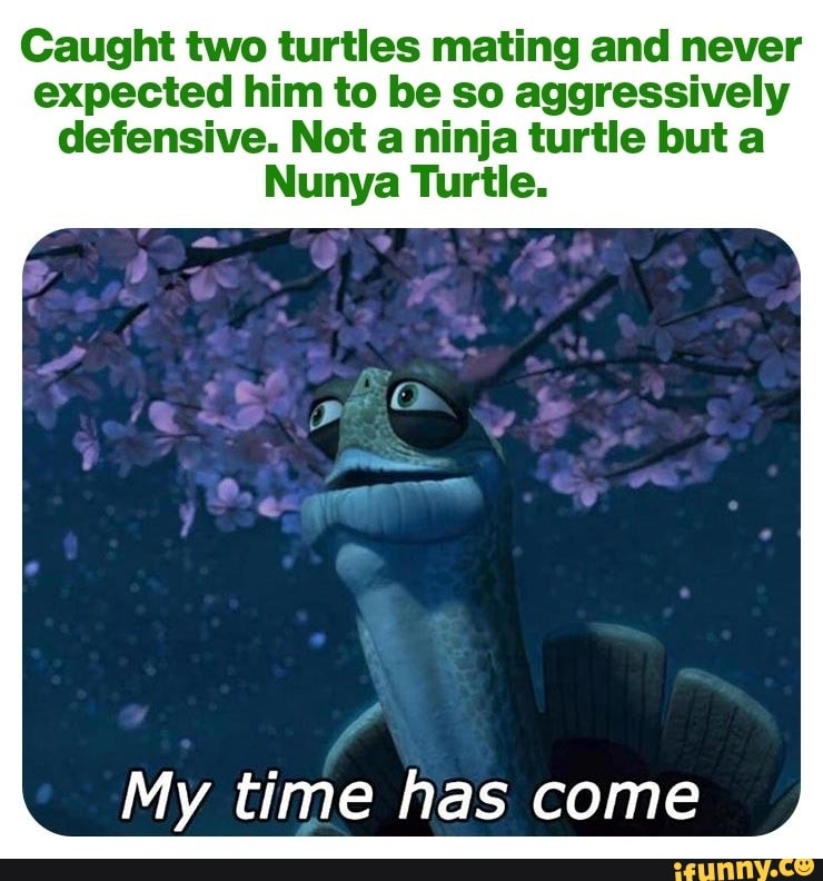 Nunya memes. Best Collection of funny Nunya pictures on iFunny