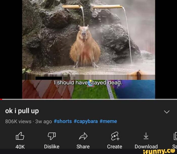 Aok memes. Best Collection of funny Aok pictures on iFunny