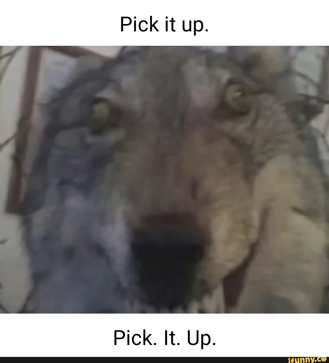 Pick it up. Pick. It. Up. - iFunny