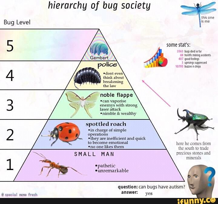 Hierarchy of bug society this one Bug Level sme some stat's: 3569 bugs ded soar 8 homtcminng ...