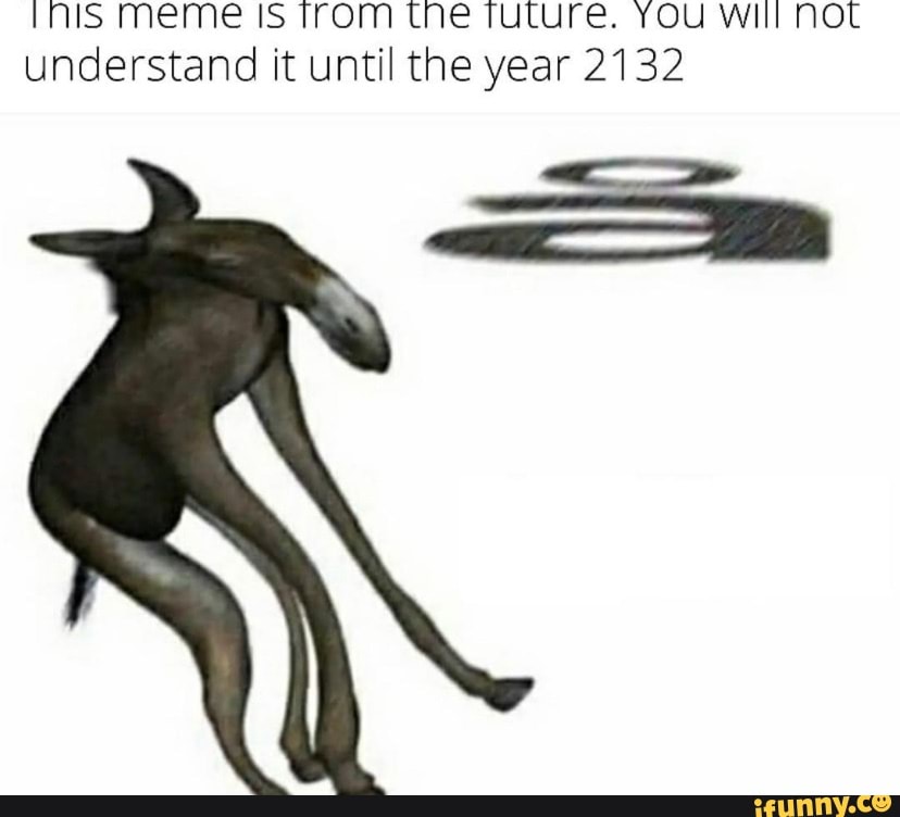 Nis meme IS from the future. YOU Will NOt understand it until the year ...