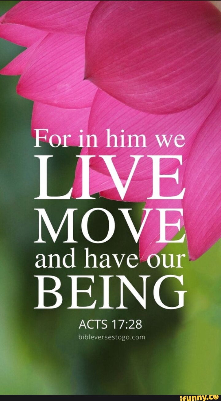 For in him we LIVE MOVE and have our BEING ACTS bibleversent - iFunny