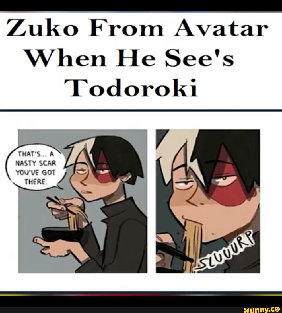 Zuko-From Avatar When He See's Todoroki - iFunny