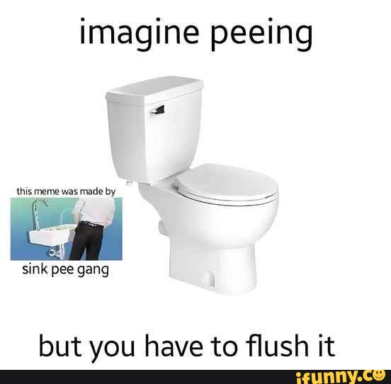 Imagine peeing this meme was made by sink pee gang but you have to ...