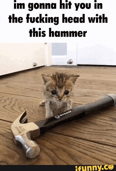 Video memes ped51OO77 by WolverPeen: 0.5K comments - iFunny