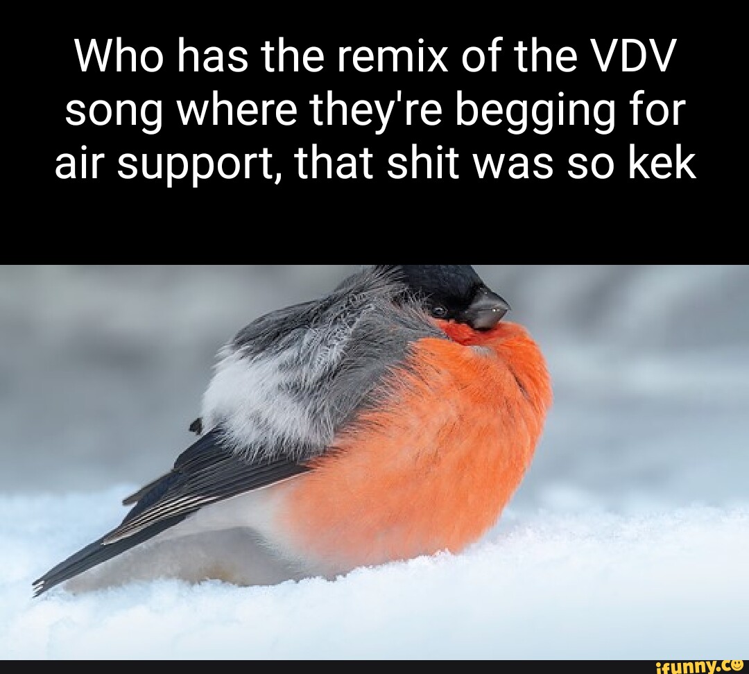 Vdv memes. Best Collection of funny Vdv pictures on iFunny