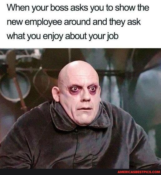 🖤 - When your boss asks you to show the new employee around and they ...