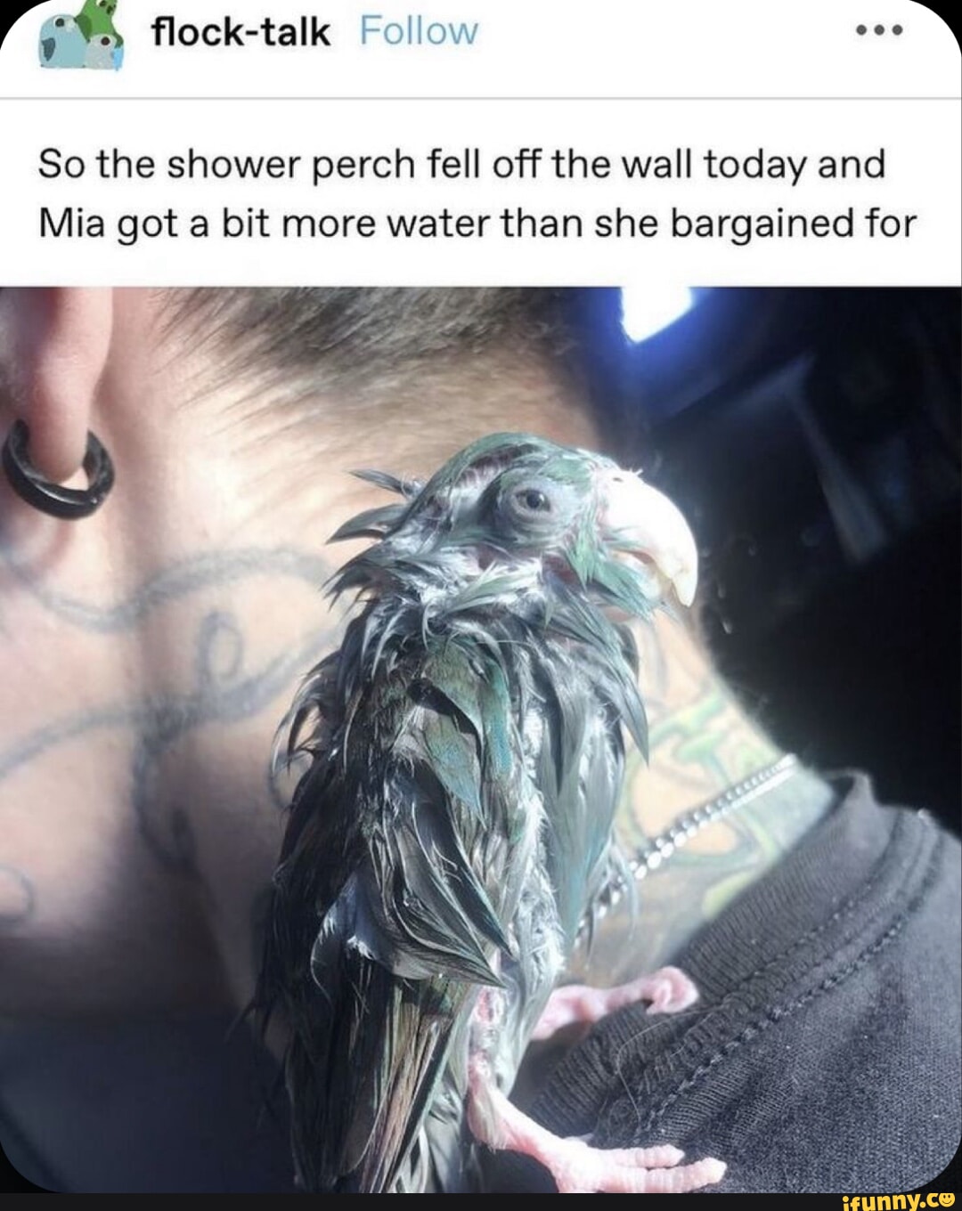 Made it till Friday without hitting anyone with a chair My people ...