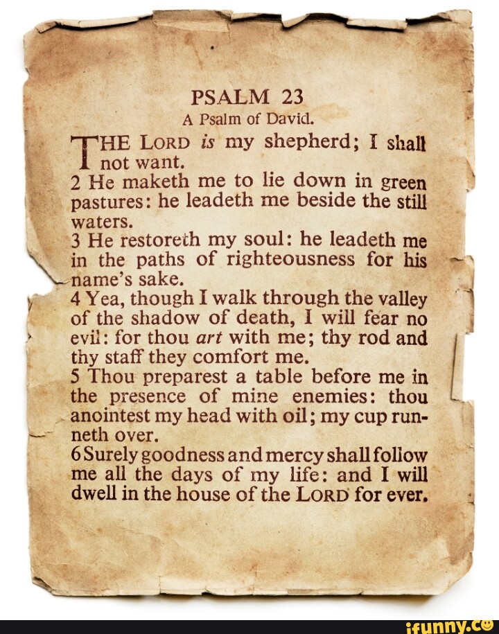PSALM 23 A Psalm of David. HE LORD is my shepherd; I shalt not want. 2 ...