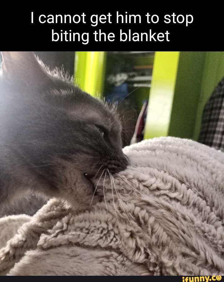 When your job asks for 'honest feedback' on any workplace issues ...