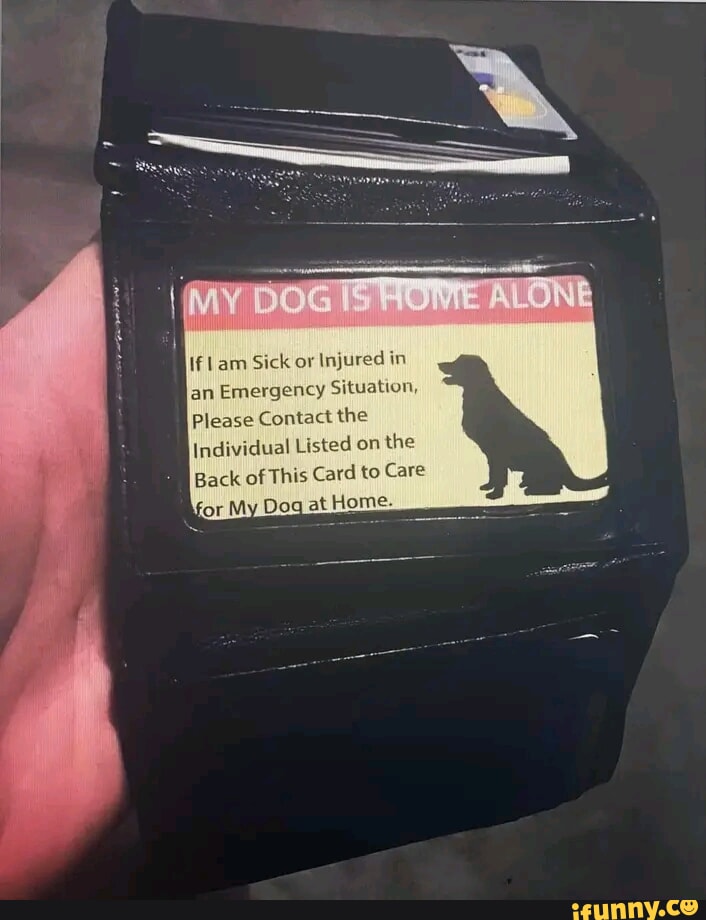 Jlon2K @Jlonwavves Three bullets colliding @ Niall @nialimoran_- These ...