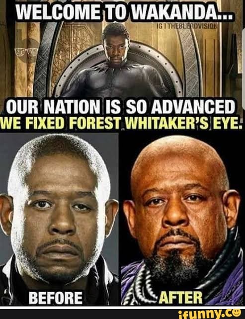 Whitakers memes. Best Collection of funny Whitakers pictures on iFunny