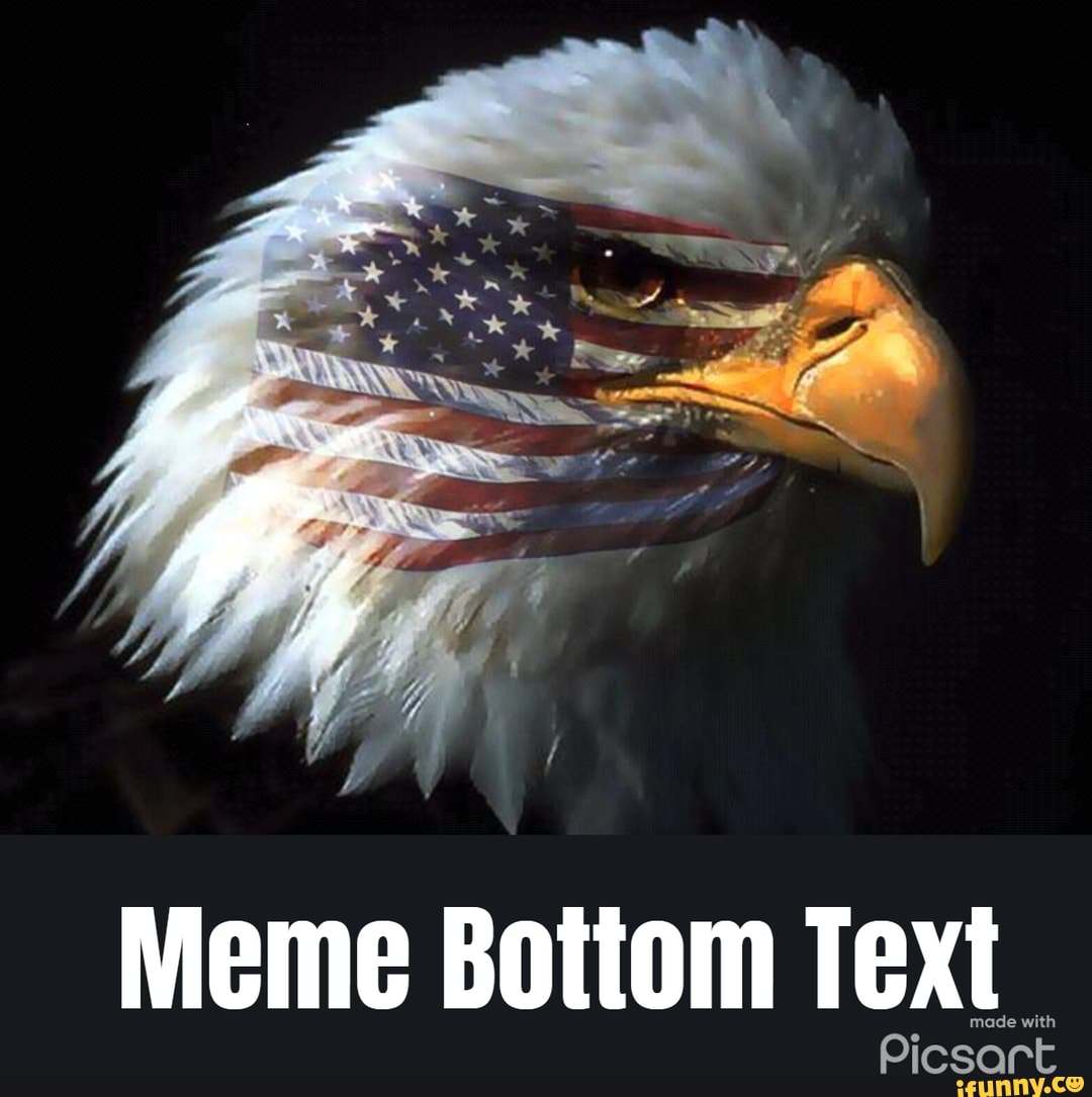 Meme Bottom Text made with Picsart - iFunny