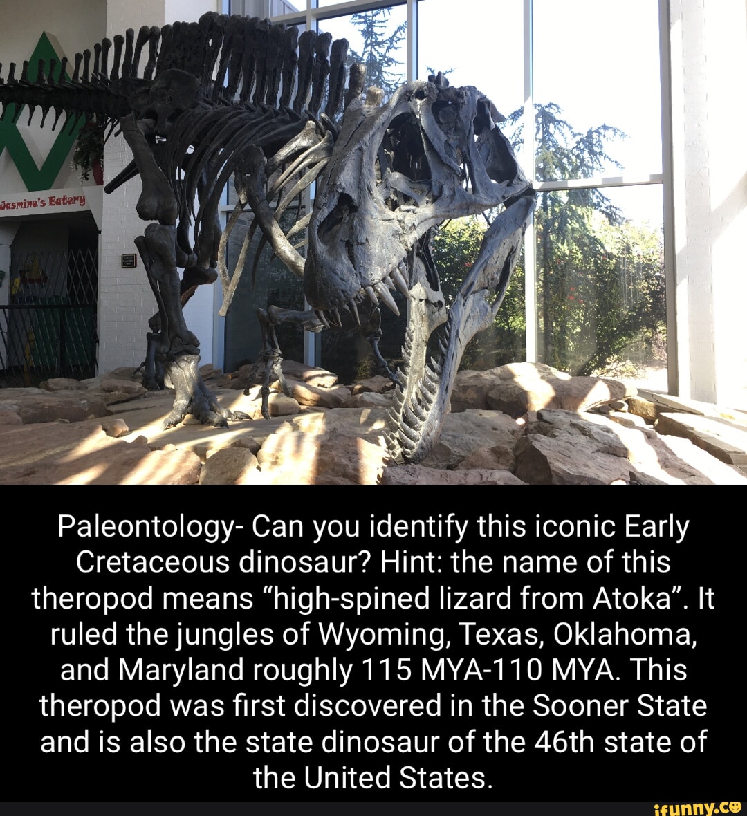 Paleontology- Can you identify this iconic Early Cretaceous dinosaur ...