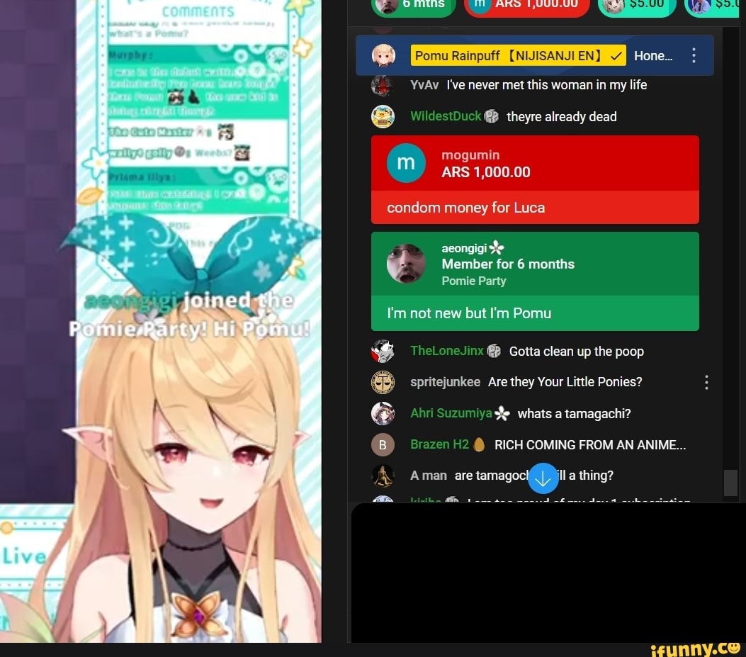 Pomu Rainpuff [NIJISANJIEN) & YvAv I've never met this woman in my life ...